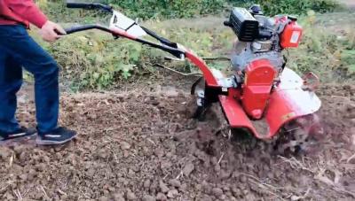 Cina Mini Tiller da giardino da 7 HP coltivatore di fattoria velocità di lavoro di 4 km / h per la massima produttività in vendita