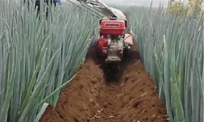 China 4.05KW Transmissão de engrenagem Arrocha de trincheira Máquina de cultivo de solo para culturas de dinheiro à venda
