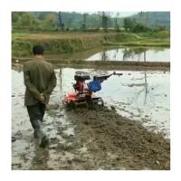 China Multi-function 4KW / 5KW Gasoline Paddy Weeder Rotary Tiller with Powerful Performance for sale
