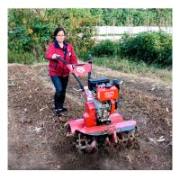 China Affordable Diesel Engine Mini Power Tiller for Weeding at Home Optional Features for sale