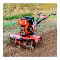 China Affordable Diesel Engine Mini Power Tiller for Weeding at Home Optional Features for sale