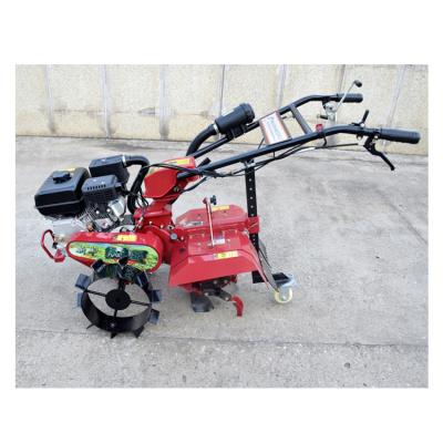 Cina Gestione della struttura degli ingranaggi Mini Power Tiller con larghezza di lavoro di 70 cm e motore a benzina in vendita