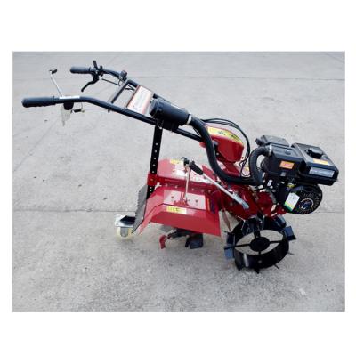 Cina Gestione della struttura degli ingranaggi Mini Power Tiller con larghezza di lavoro di 70 cm e motore a benzina in vendita