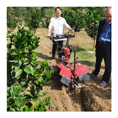 Cina Gestione della struttura degli ingranaggi Mini Power Tiller con larghezza di lavoro di 70 cm e motore a benzina in vendita