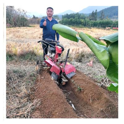 Cina Gestione della struttura degli ingranaggi Mini Power Tiller con larghezza di lavoro di 70 cm e motore a benzina in vendita