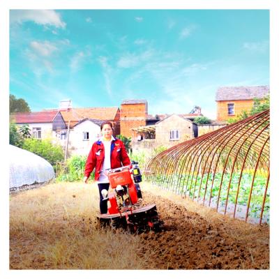 Cina Coltivatore rotativo ad alto livello di sicurezza Struttura degli ingranaggi a benzina Mini Tiller di potenza da 7 CV per giardino in vendita