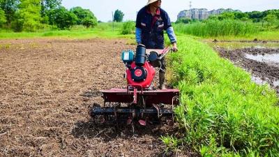 Cina Attrezzatura agricola multiuso a quattro ruote motrici 173F Coltivatore a motore diesel per giardino in vendita