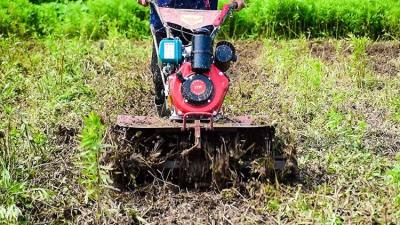 Cina Attrezzatura agricola multiuso a quattro ruote motrici 173F Coltivatore a motore diesel per giardino in vendita