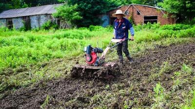 Cina Attrezzatura agricola multiuso a quattro ruote motrici 173F Coltivatore a motore diesel per giardino in vendita