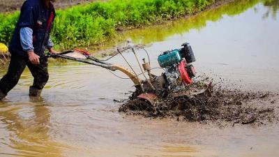 Cina Attrezzatura agricola multiuso a quattro ruote motrici 173F Coltivatore a motore diesel per giardino in vendita