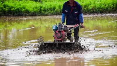 Cina Attrezzatura agricola multiuso a quattro ruote motrici 173F Coltivatore a motore diesel per giardino in vendita