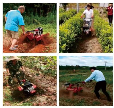 Cina Velocità di lavoro elevata 4 km/h Macchina per la depurazione dei raccolti di frutti di frutta in vendita