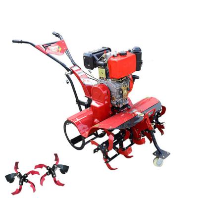 Cina 4 kW Corto Modello 173f Motore diesel Power Tiller per l'agricoltura sostenibile in vendita