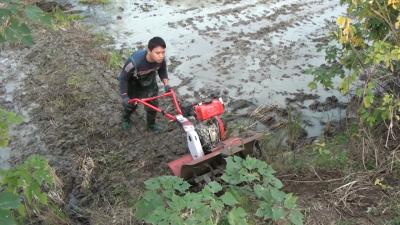 Cina 4 kW Corto Modello 173f Motore diesel Power Tiller per l'agricoltura sostenibile in vendita