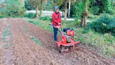 Cina 4 kW Corto Modello 173f Motore diesel Power Tiller per l'agricoltura sostenibile in vendita
