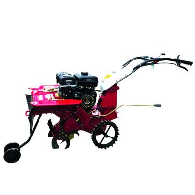 Cina Tiller rotativo a spinta manuale per agricoltura in zone montane 145*62*85cm in vendita