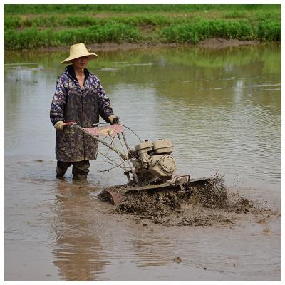 China Landbouwuitrusting Lichter 170F Benzine motor Power Tiller voor tuin 1100*1050*880mm Te koop