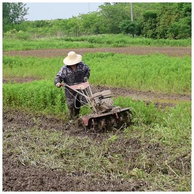 China Landbouwuitrusting Lichter 170F Benzine motor Power Tiller voor tuin 1100*1050*880mm Te koop