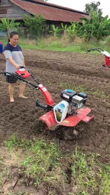 Cina Agricoltura senza sforzo con elevato livello di sicurezza 9hp Power Tiller e tecnologia avanzata in vendita