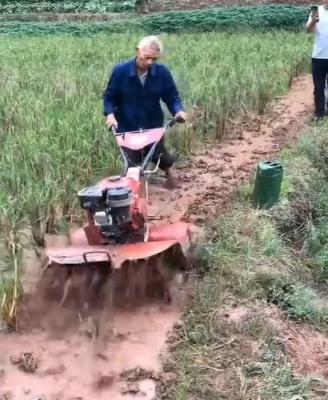 Cina Agricoltura senza sforzo con elevato livello di sicurezza 9hp Power Tiller e tecnologia avanzata in vendita