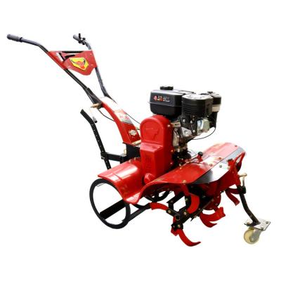 Cina Facile utilizzo Motore a benzina per frutteti e giardini Mini Tiller rotativo per coltivazione in vendita