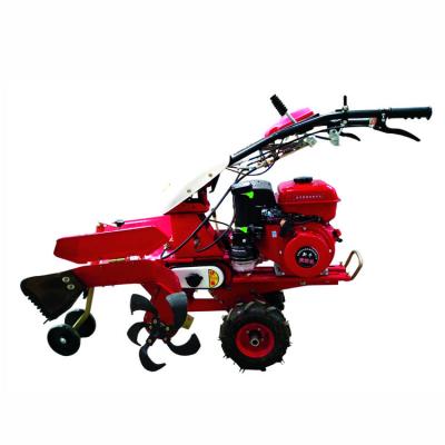Cina 177F Motore a benzina a quattro ruote motrici Mini Power Tiller Cultivator per raccolti di frutti di frutta in vendita