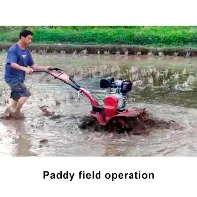 Cina Tiller a quattro ruote motrici con potenza rotativa di nuova progettazione e larghezza di 15-35 cm in vendita