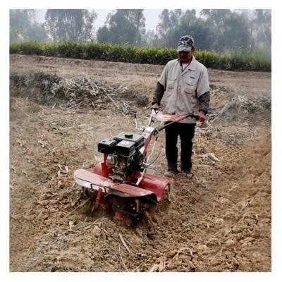 Cina Larghezza di lavoro regolabile 45-85 cm Mini Tiller con facile utilizzo in vendita