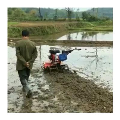 Cina 160*62*108cm Livello di sicurezza elevato Macchine agricole 4KW Attrezzature agricole/Mini Tiller rotativo in vendita