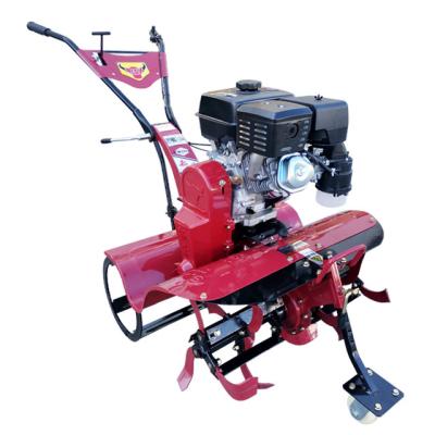 Cina Mini Tiller di potenza rotante regolabile per le esigenze agricole su piccola scala in vendita