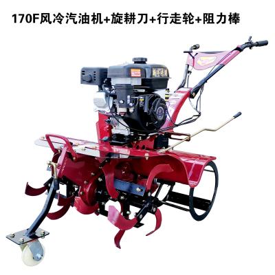 Cina 160*62*108cm Modello di frutteto di piccole dimensioni resistente in vendita