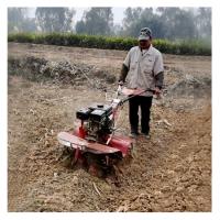 China 45-85cm Working Width Hand Push Mini Power Rototiller with Adjustable Tilling Width for sale
