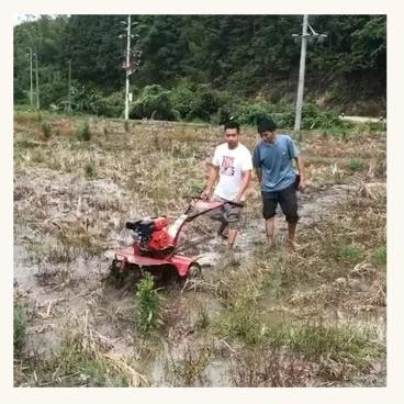 Cina Mini Tiller a benzina a potenza con raccolto rotativo leggero e capacità di carico di 65 kg in vendita