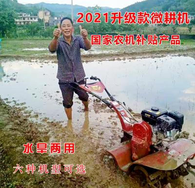 Cina Mini Tiller a benzina a potenza con raccolto rotativo leggero e capacità di carico di 65 kg in vendita