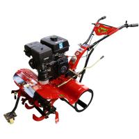 China Adjustable Working Width Mini Gasoline Tiller for Versatile Cultivation for sale