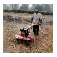 China Adjustable Working Width Mini Gasoline Tiller for Versatile Cultivation for sale
