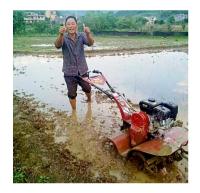 China Adjustable Working Width Mini Gasoline Tiller for Versatile Cultivation for sale