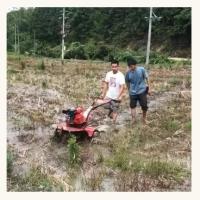 China Adjustable Working Width Mini Gasoline Tiller for Versatile Cultivation for sale