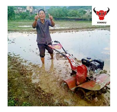 Cina Mini Power Tiller La vostra scelta migliore per le macchine per l'agricoltura domestica in vendita
