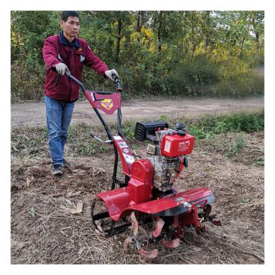 Cina 4KW attrezzature agricole a spinta manuale mini giardino Power Tiller per le esigenze del cliente in vendita