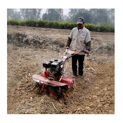 Cina 4KW attrezzature agricole a spinta manuale mini giardino Power Tiller per le esigenze del cliente in vendita