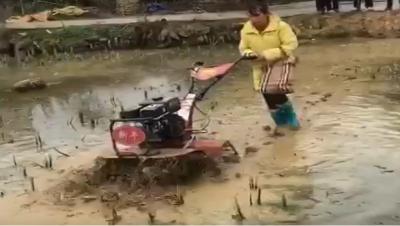 Cina Trasmissione di trasmissioni per acqua e terra Mini coltivatore rotativo con larghezza di lavoro regolabile in vendita