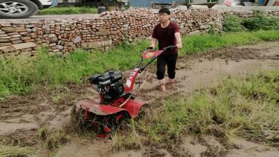 Cina Trasmissione di trasmissioni per acqua e terra Mini coltivatore rotativo con larghezza di lavoro regolabile in vendita