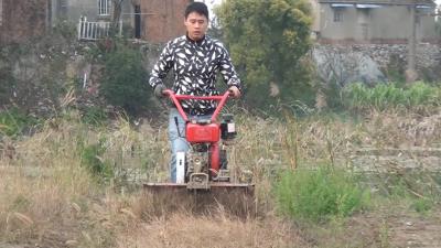 Cina Potente coltivatore a quattro ruote motore diesel 186F per campi di riso e terreni asciutti in vendita