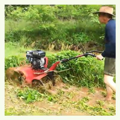 China Largura de trabalho e largura de remoção ajustáveis Mini Tiller com tração nas quatro rodas à venda