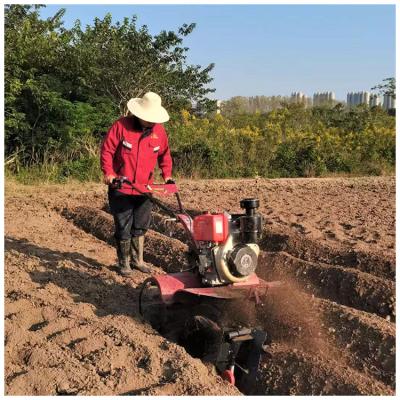 Cina 186F Tiller multiuso a quattro ruote per l'agricoltura su terreni duri in vendita
