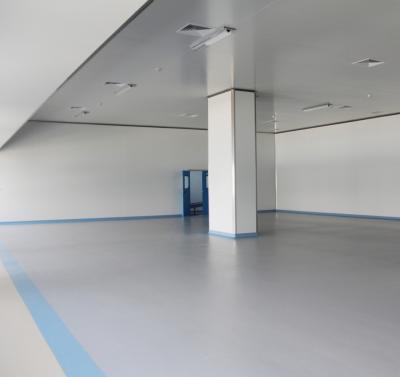 Cina Industrial Steel Structure Isolation Room for Pharmaceutical Storage and Distribution in vendita