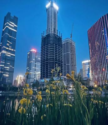 Cina Strutture in acciaio prefabbricate prefabbricate per ufficio/finanziario/albergo in vendita