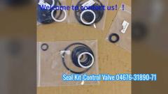 Seal Kit-Control Valve 04676-31890-71