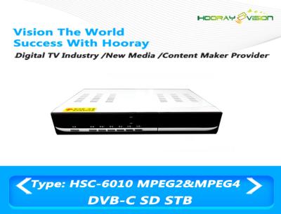 Cina 2 deviazione standard del decoder di MBYTE DVB C/programmi conservabili della scatola superiore set di cavi di H.264 Digital 1000 in vendita